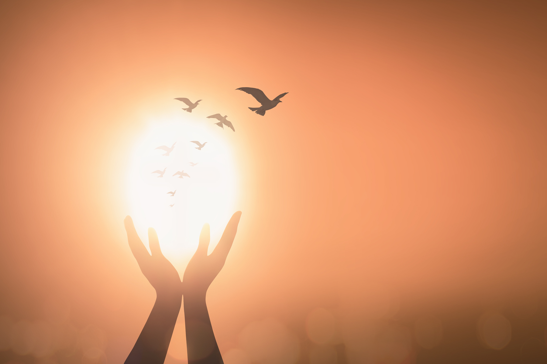 6 Tips to Start Changing Your Life Today - Mel Doerr